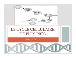 La reproduction cellulaire