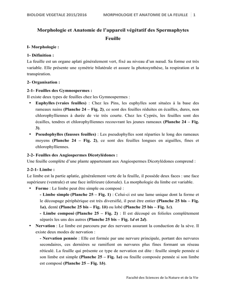 E Learning E Learning