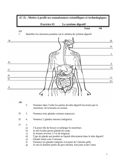 LE SYSTÈME DIGESTIF