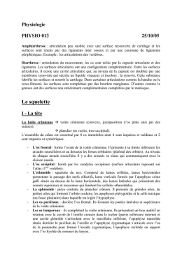 La pyramide pétreuse