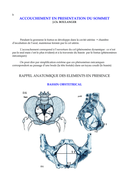 Bassin obstétrical Introduction / Définition