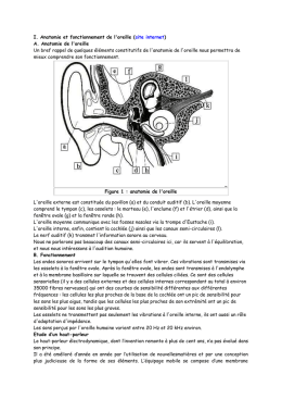 1. Anatomie de la sphère ORL