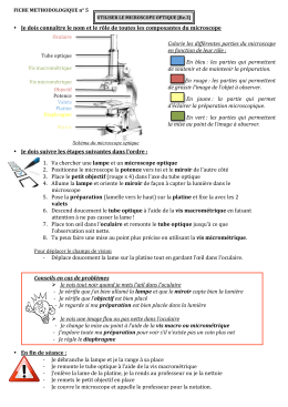 Les différentes parties du microscope