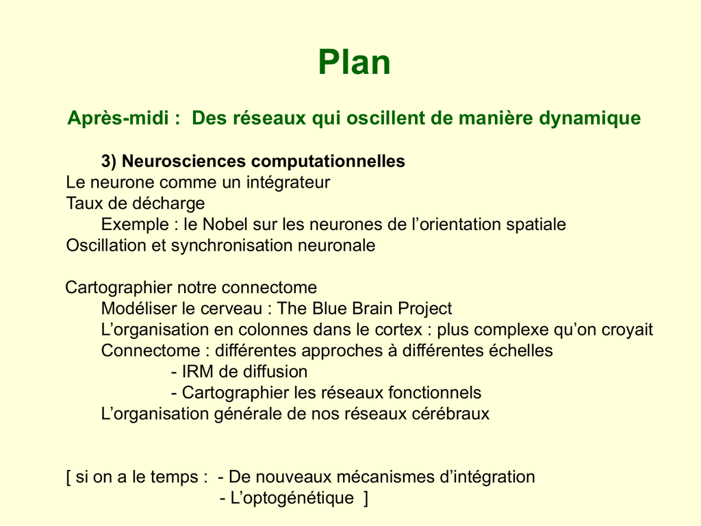 Neurosciences computationnelles
