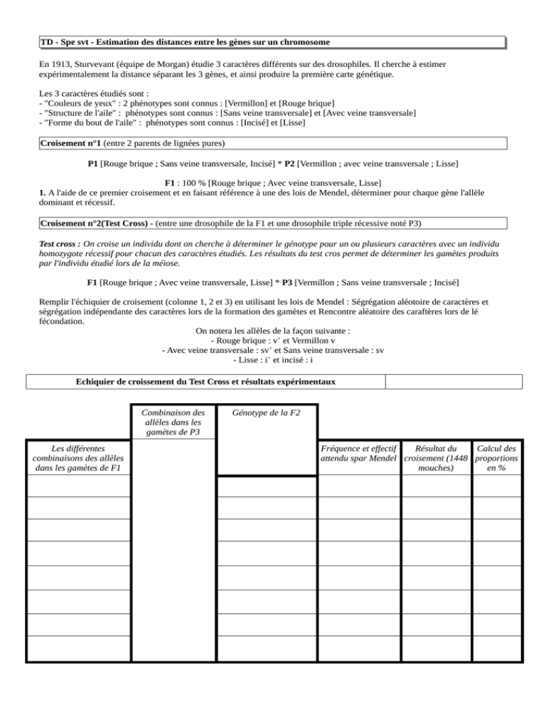 TD Spe Svt Estimation Des Distances Entre Les G nes Sur Un TD Spe Svt Estimation Des Distances Entre Les G nes Sur Un