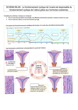 TP N°3 LES CYCLES OVARIEN ET UTERIN Durée