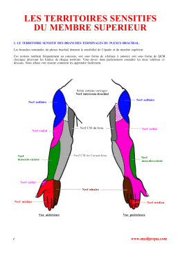 INNERVATION DU MEMBRE SUPÉRIEUR Plexus brachial.