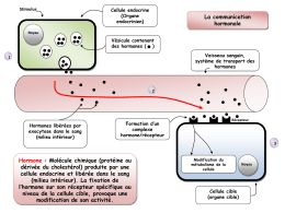 L`appareil endocrinien ou hormonal
