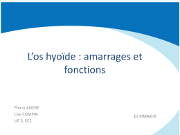 Les Muscles de la région Sus et Sous Hyoïdienne