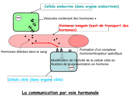 L`appareil endocrinien ou hormonal