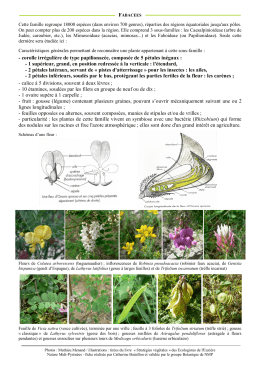 La fleur des aliments Les aliments
