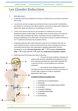 L`appareil endocrinien ou hormonal