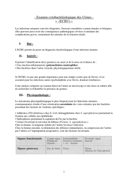 I. ECBU (examen cytobactériologique des urines)