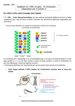 Bilan TP10 : L`ADN est une molécule codée et variable. Atelier 1 : L