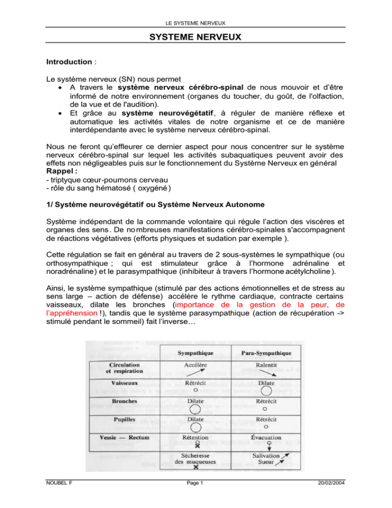 SYSTEME NERVEUX
