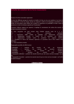 EXAMEN DES MUSCLES ET DE LA FORCE MUSCULAIRE