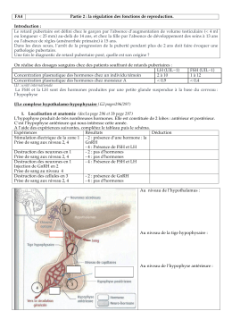Principales hormones sexuelles chez l`homme